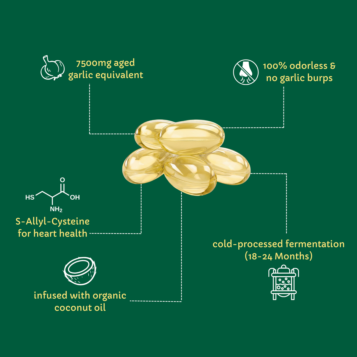 Aged Garlic Extract – The Standard Lab